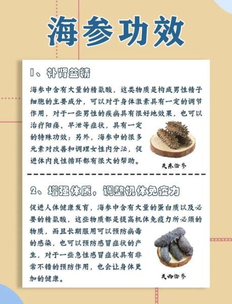 海参的营养价值有哪些_海参的功效与作用-第2张图片-山城妙识
