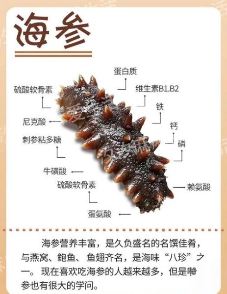 海参的营养价值有哪些_海参的功效与作用-第3张图片-山城妙识