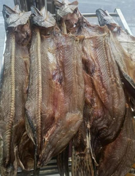 黑斑狗鱼长什么样_黑斑狗鱼怎么分辨-第2张图片-山城妙识