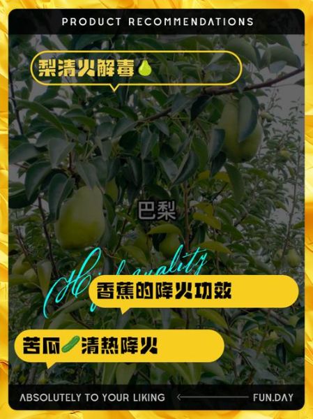 败火的食物有哪些_哪些食物降火最快-第2张图片-山城妙识