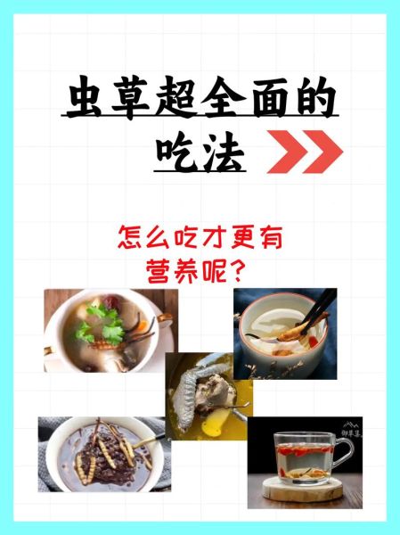 北虫草怎么吃_北虫草食用方法大全-第3张图片-山城妙识