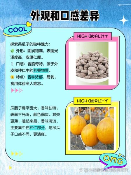 瓜蒌子和吊瓜子一样吗_哪个更好吃-第1张图片-山城妙识 瓜蒌子和吊瓜子一样吗_哪个更好吃-第1张图片-山城妙识