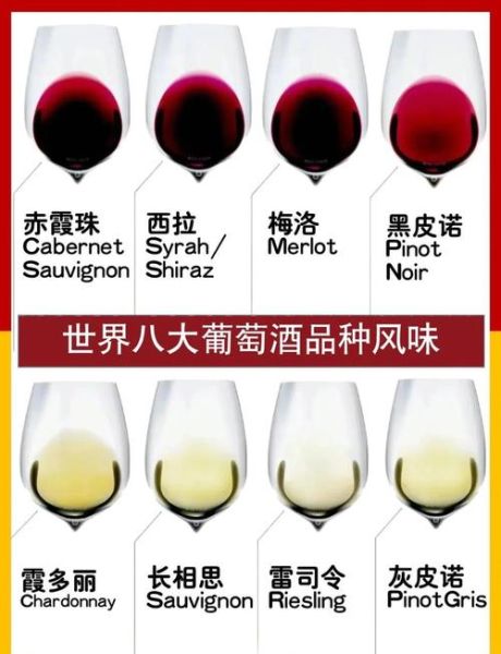 世界上最好吃的葡萄有哪些_葡萄品种排名前十-第2张图片-山城妙识 世界上最好吃的葡萄有哪些_葡萄品种排名前十-第2张图片-山城妙识