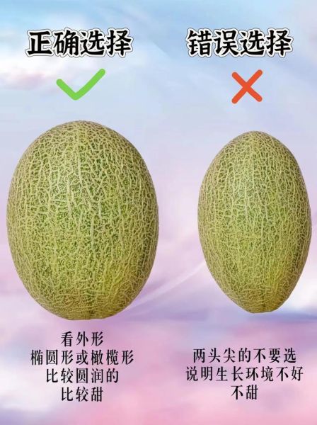 哈密瓜怎么挑选_哈密瓜图片水果-第1张图片-山城妙识 哈密瓜怎么挑选_哈密瓜图片水果-第1张图片-山城妙识