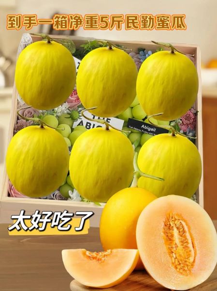 哈密瓜怎么挑选_哈密瓜图片水果-第3张图片-山城妙识 哈密瓜怎么挑选_哈密瓜图片水果-第3张图片-山城妙识