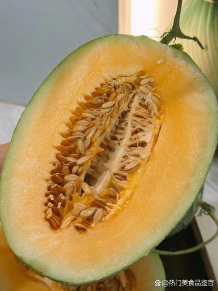 哈密瓜怎么挑选_哈密瓜图片水果-第2张图片-山城妙识 哈密瓜怎么挑选_哈密瓜图片水果-第2张图片-山城妙识