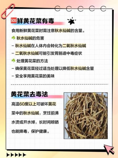 鲜黄花菜有毒吗_怎么处理才能安全吃-第1张图片-山城妙识 鲜黄花菜有毒吗_怎么处理才能安全吃-第1张图片-山城妙识