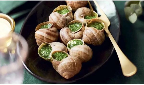 法国蜗牛养殖赚钱吗_法国蜗牛养殖技术-第3张图片-山城妙识