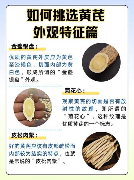 黄芪和什么泡不上火又补气血_不上火的黄芪搭配-第2张图片-山城妙识 黄芪和什么泡不上火又补气血_不上火的黄芪搭配-第2张图片-山城妙识