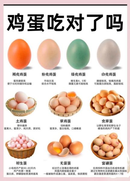 土鸡蛋和洋鸡蛋的区别是什么_哪个营养更高-第1张图片-山城妙识 土鸡蛋和洋鸡蛋的区别是什么_哪个营养更高-第1张图片-山城妙识