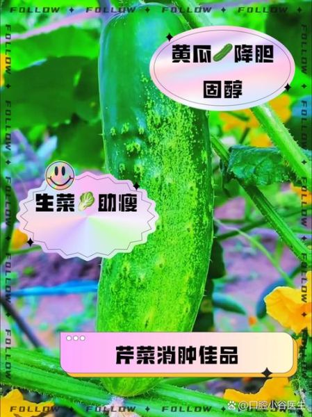 刮油蔬菜有哪些_怎么吃最减脂-第2张图片-山城妙识