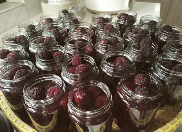 糖水杨梅怎么做_糖水杨梅能放多久-第1张图片-山城妙识 糖水杨梅怎么做_糖水杨梅能放多久-第1张图片-山城妙识