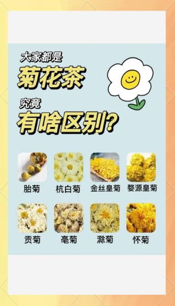 菊花泡水喝有什么功效_菊花茶的禁忌有哪些-第1张图片-山城妙识