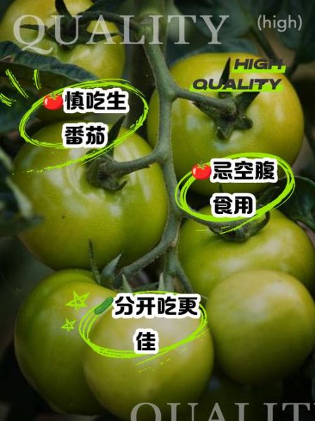 番茄哪些人不能吃_番茄禁忌人群有哪些-第3张图片-山城妙识 番茄哪些人不能吃_番茄禁忌人群有哪些-第3张图片-山城妙识