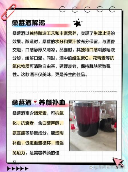 桑葚酒的功效与作用_什么时候喝好-第1张图片-山城妙识