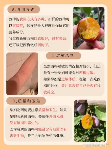 西梅孕妇可以吃吗_孕妇吃西梅注意事项-第1张图片-山城妙识