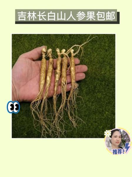 炒鸡肉要不要焯水_焯水后口感会变柴吗-第1张图片-山城妙识