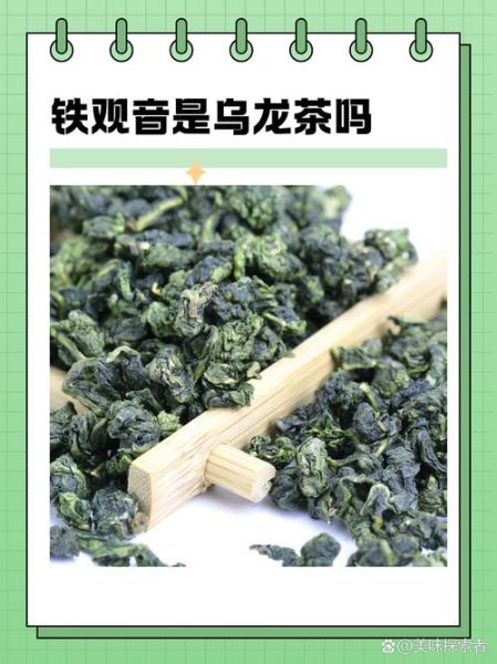安溪铁观音属于什么茶_铁观音是绿茶还是乌龙茶-第1张图片-山城妙识