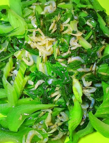 盖菜图片长什么样_盖菜和芥菜的区别-第3张图片-山城妙识