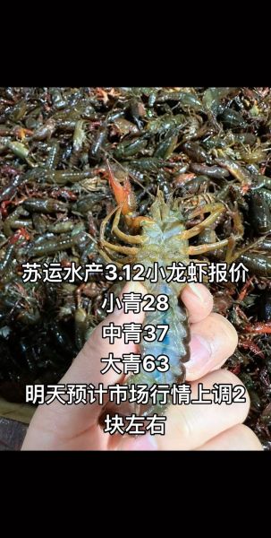 小龙虾价格走势_今日小龙虾多少钱一斤-第3张图片-山城妙识 小龙虾价格走势_今日小龙虾多少钱一斤-第3张图片-山城妙识