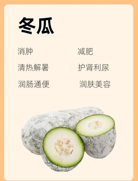 吃冬瓜的好处和禁忌_冬瓜怎么吃最健康-第1张图片-山城妙识 吃冬瓜的好处和禁忌_冬瓜怎么吃最健康-第1张图片-山城妙识