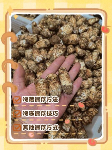 松茸怎么吃效果最好_松茸怎么保存营养不流失-第2张图片-山城妙识 松茸怎么吃效果最好_松茸怎么保存营养不流失-第2张图片-山城妙识