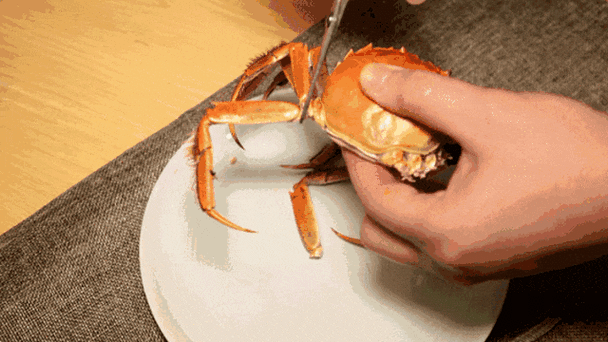 螃蟹怎么吃图解_螃蟹剥法动图步骤-第2张图片-山城妙识