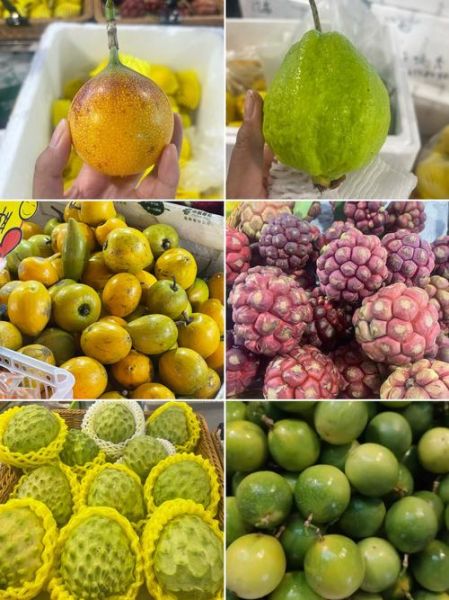 世界水果大全名称_热带水果有哪些-第1张图片-山城妙识