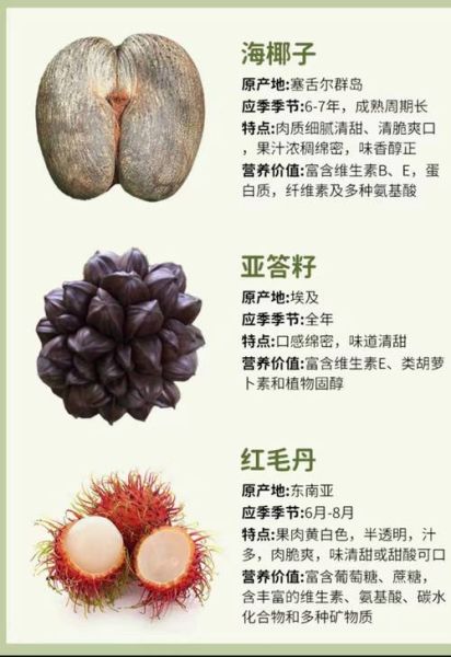 世界水果大全名称_热带水果有哪些-第2张图片-山城妙识