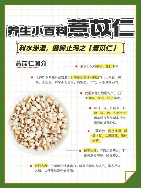 薏仁的功效与作用_薏仁怎么吃祛湿效果最好-第1张图片-山城妙识 薏仁的功效与作用_薏仁怎么吃祛湿效果最好-第1张图片-山城妙识