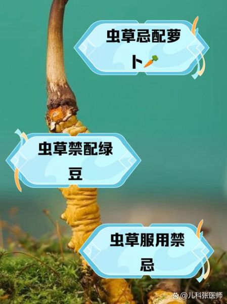 虫草什么人不能吃_虫草副作用有哪些-第2张图片-山城妙识 虫草什么人不能吃_虫草副作用有哪些-第2张图片-山城妙识