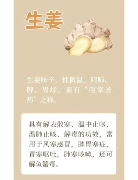 干姜和生姜的功效区别_哪个更适合体寒-第2张图片-山城妙识 干姜和生姜的功效区别_哪个更适合体寒-第2张图片-山城妙识