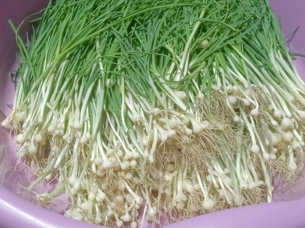 蒜苗怎么腌制才好吃_家常腌蒜苗做法-第3张图片-山城妙识 蒜苗怎么腌制才好吃_家常腌蒜苗做法-第3张图片-山城妙识