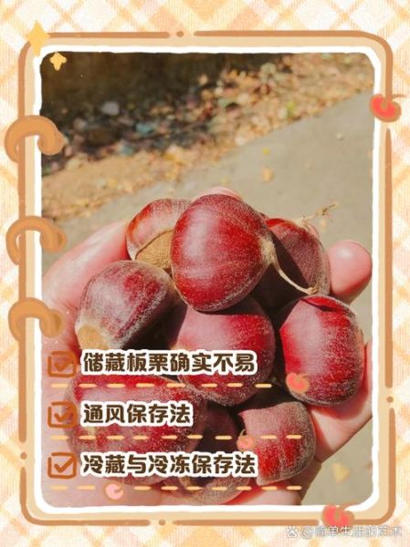 板栗怎么保存不生虫子_板栗长期储存方法-第3张图片-山城妙识