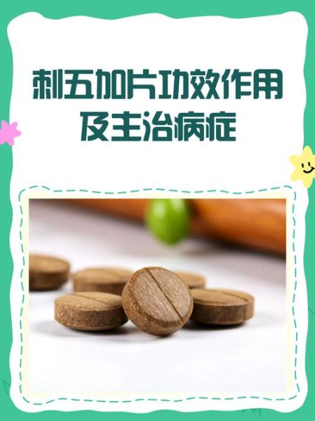刺五加片的功效与作用_刺五加片适合什么人吃-第1张图片-山城妙识