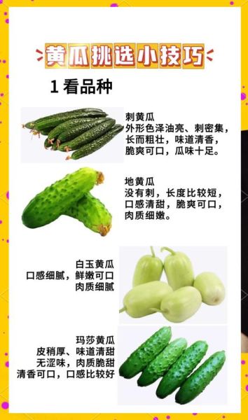 黄瓜图片大全大图_如何挑选高清素材-第1张图片-山城妙识