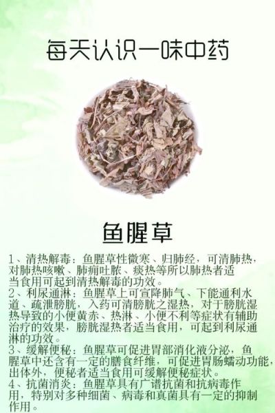 鱼腥草能治疗什么病_鱼腥草的功效与作用-第1张图片-山城妙识