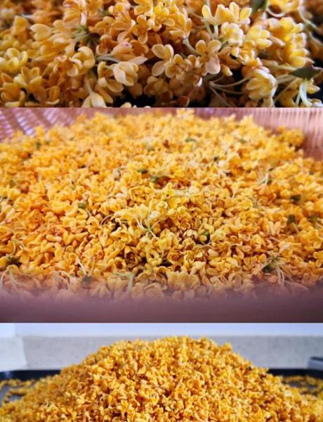 桂花怎么腌制_桂花腌制需要糖吗-第1张图片-山城妙识