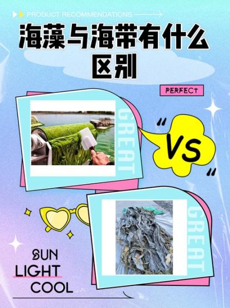 假海藻和真海藻的区别_如何辨别真假海藻-第3张图片-山城妙识 假海藻和真海藻的区别_如何辨别真假海藻-第3张图片-山城妙识