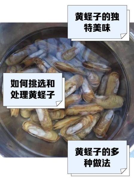 蛏子死了还能吃吗_如何判断蛏子是否变质-第3张图片-山城妙识