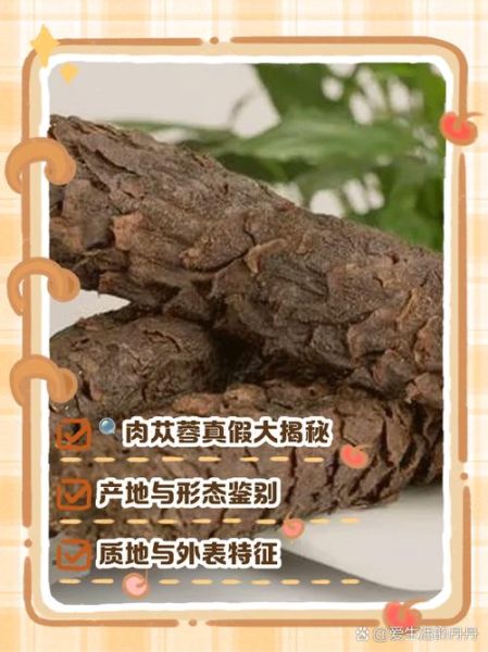 野生肉苁蓉多少钱一斤_如何辨别真假-第1张图片-山城妙识