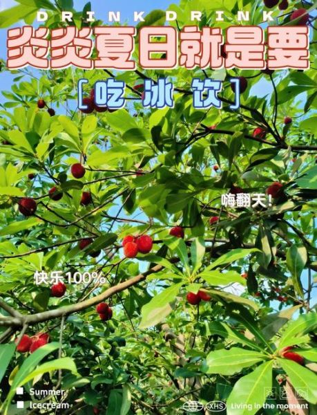 杨梅汁怎么做_杨梅汁的做法窍门-第3张图片-山城妙识