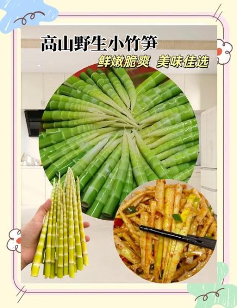 小竹笋的功效与作用_小竹笋怎么吃最营养-第1张图片-山城妙识