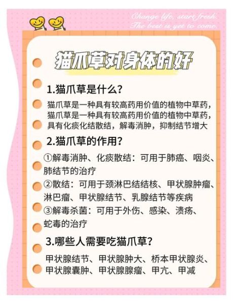 猫爪草怎么服用_猫爪草一天吃几次-第2张图片-山城妙识