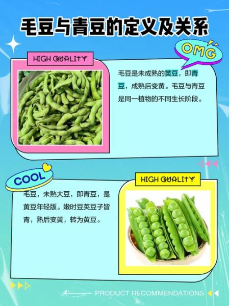 青豆和毛豆哪个营养价值高_青豆的功效与作用有哪些-第1张图片-山城妙识 青豆和毛豆哪个营养价值高_青豆的功效与作用有哪些-第1张图片-山城妙识