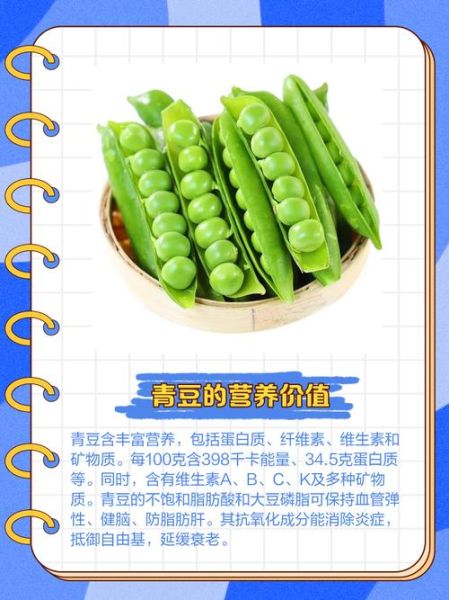青豆和毛豆哪个营养价值高_青豆的功效与作用有哪些-第3张图片-山城妙识 青豆和毛豆哪个营养价值高_青豆的功效与作用有哪些-第3张图片-山城妙识