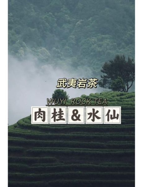 肉桂和水仙哪个档次高_岩茶选购必看-第1张图片-山城妙识 肉桂和水仙哪个档次高_岩茶选购必看-第1张图片-山城妙识