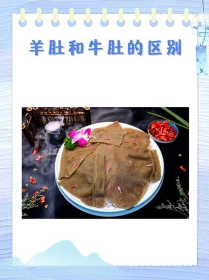 牛肚有几种_牛肚分类及区别-第3张图片-山城妙识 牛肚有几种_牛肚分类及区别-第3张图片-山城妙识