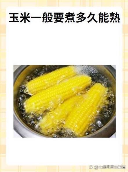 煮玉米要多久才熟_怎样煮玉米才好吃-第3张图片-山城妙识