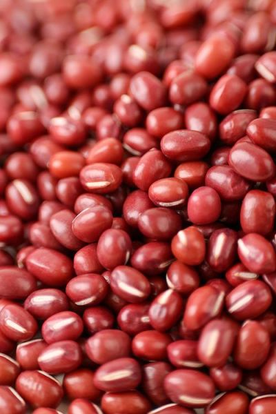 红豆图片大全大图_红豆高清壁纸哪里找-第1张图片-山城妙识